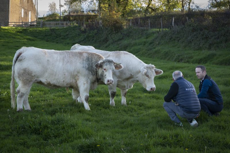 Halles de Lyon. Excursion dans le Charolais avec le boucher Didier ...