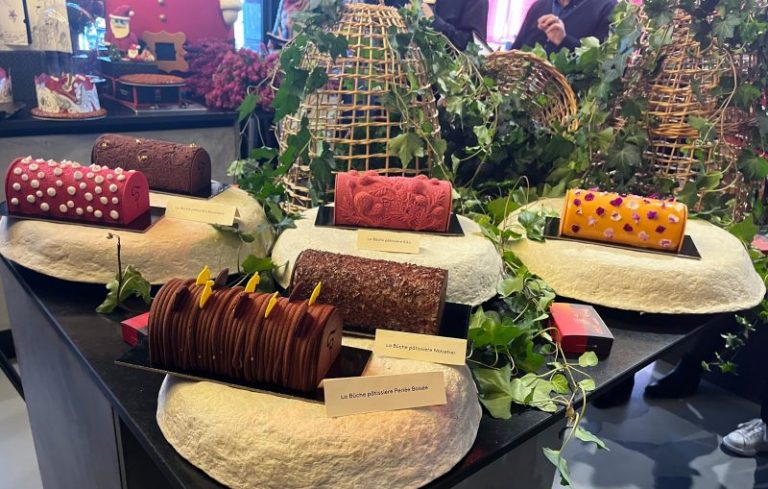 Lyon. Laquelle des 6 bûches pâtissières 3D de la Maison Sève vous fera ...